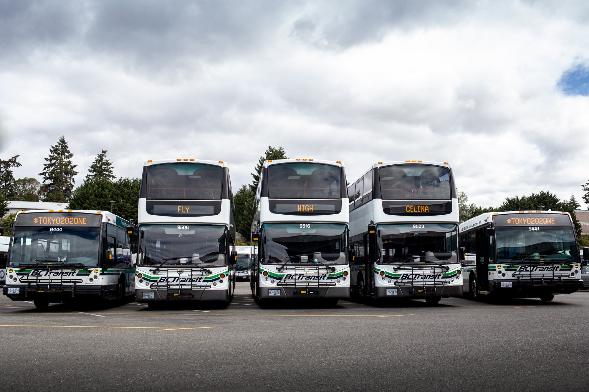 A Bus-tastic send off for Victoria diver at Tokyo Olympics